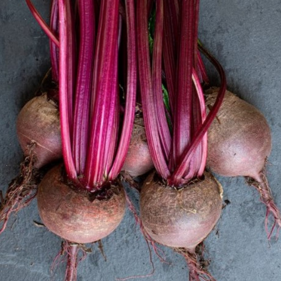Beetroot – Meldon Seeds