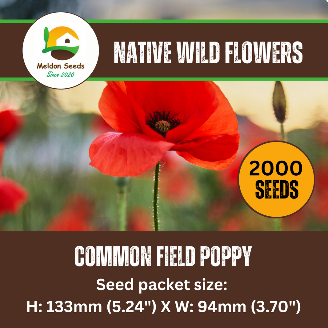 Flower Seeds – Meldon Seeds